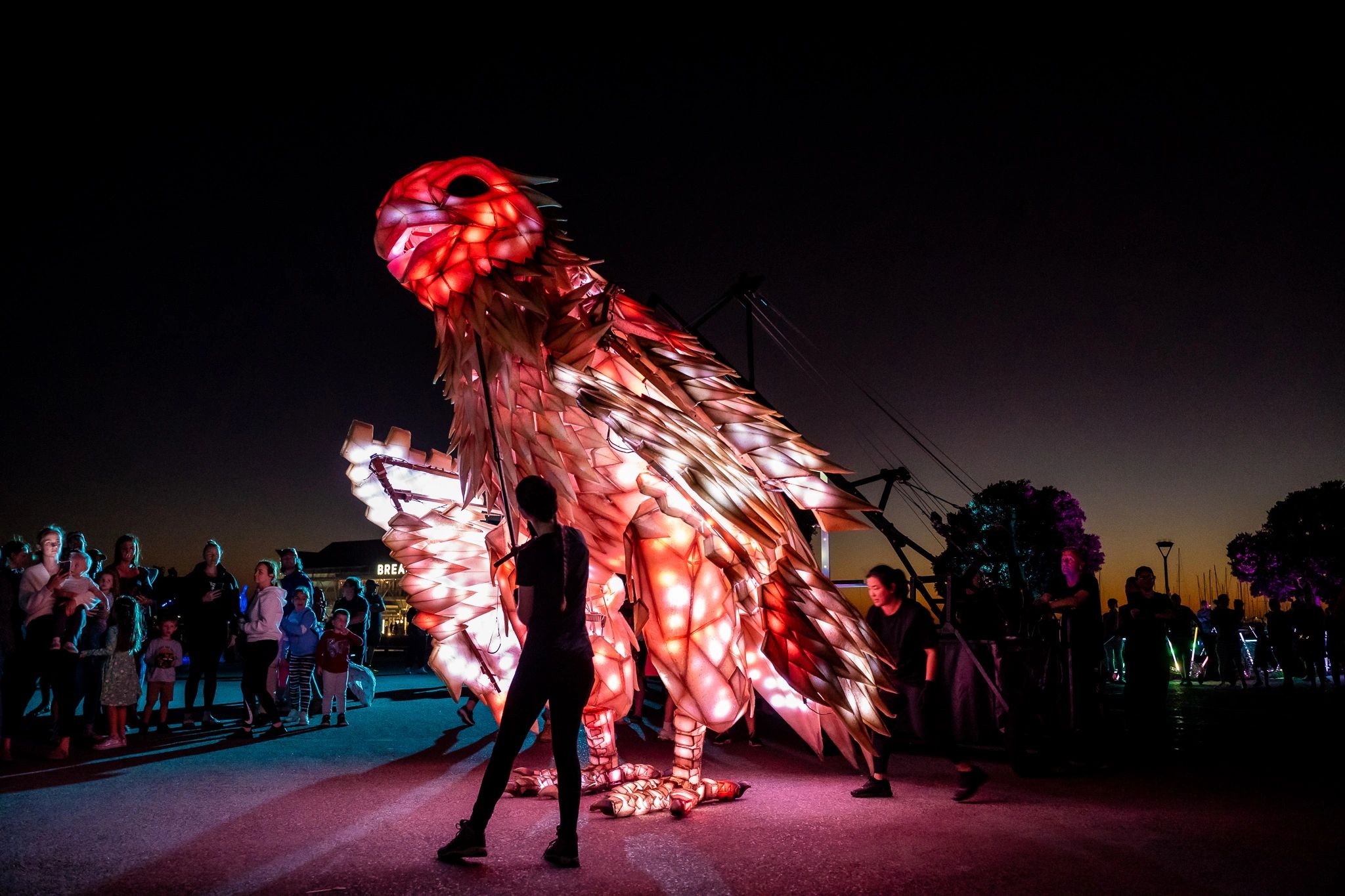 Electric Kingdom The Ultimate Event Experience